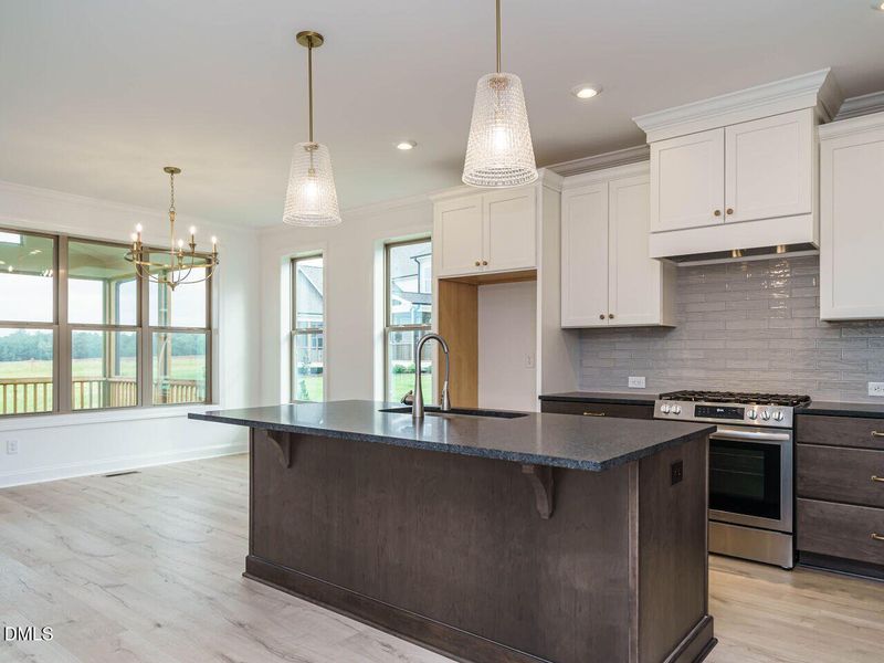 829 Lunar Light Dr, Wendell, NC 27591 - New Construction Home