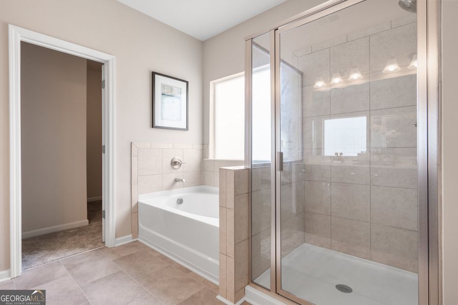 1409 Trellis Ct, Hampton, GA 30228 - New Construction Home