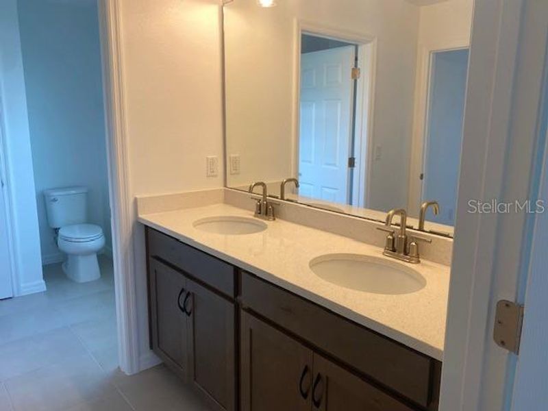 27412 Black Kite Ave, Howey-in-the-Hills, FL 34737 - New Construction Home
